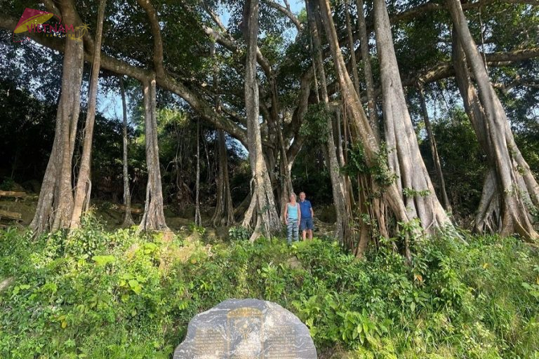 Monkey Mountain Da Nang - Son Tra Peninsula - Vietnamvacation